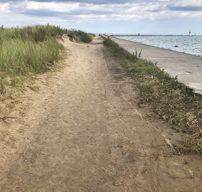 Sandy paths wind through coastal dunes, nature's perfect corridor connecting parking lots to paradise. No red carpet needed here.