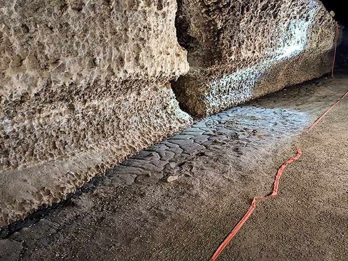 A well-maintained trail winds through the woods, building anticipation for the subterranean adventure that awaits just ahead.