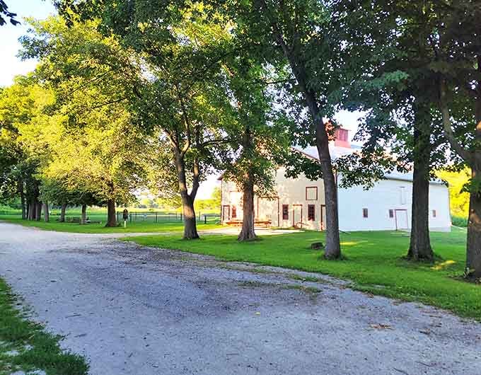 Nature reclaims the edges of this unpaved road, creating a peaceful pathway through time that beckons explorers forward.