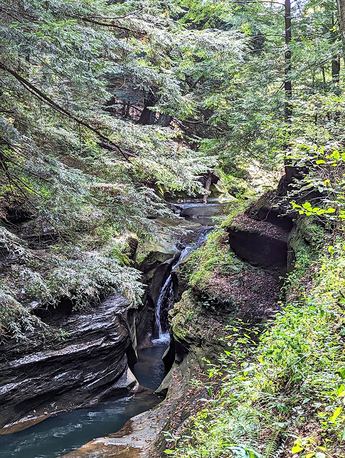 Water performs its timeless dance through the narrow gorge, each droplet contributing to the ongoing sculpture of this hidden Ohio gem.