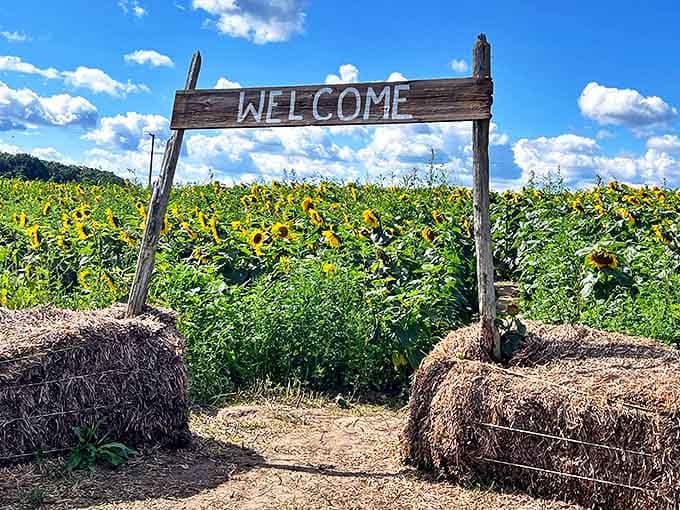 "WELCOME" never looked so inviting &ndash; rustic charm and hay bales mark the entrance to this floral wonderland.