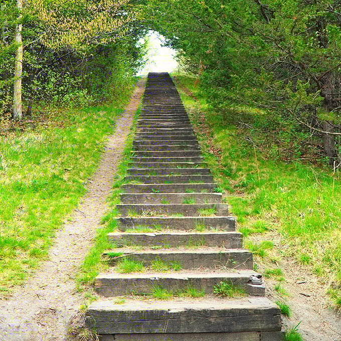 Wooden steps climbing skyward through verdant walls &ndash; nature's stairway to heaven with a side of cardio.