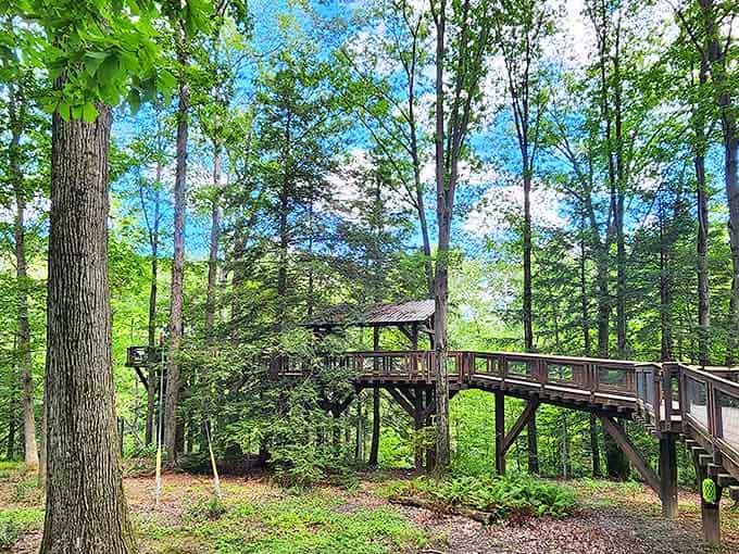 This wooden walkway doesn't just lead to nature &ndash; it immerses you in it, creating a perfect marriage of human engineering and natural wonder.