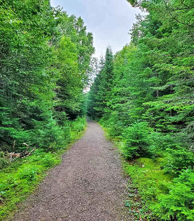 Nature's corridor beckons with emerald walls and a path that promises both serenity and exploration ahead.