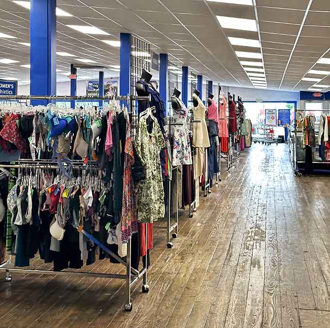 Wooden floors and organized racks create a surprisingly pleasant shopping experience, with each aisle promising new discoveries.