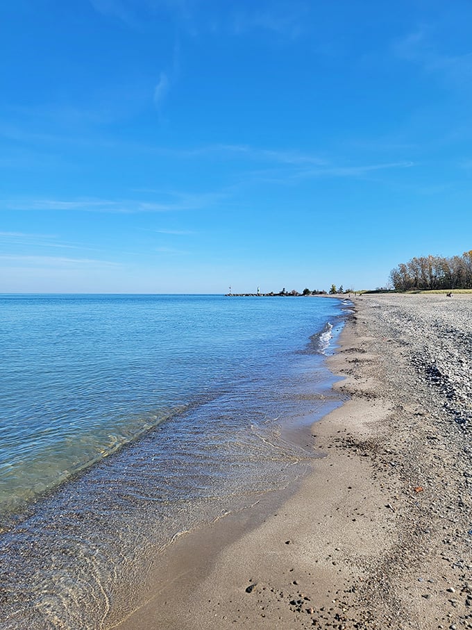 Crystal-clear waters meet the horizon at this hidden gem, where Lake Erie shows off its Caribbean-like blues without the tropical price tag.