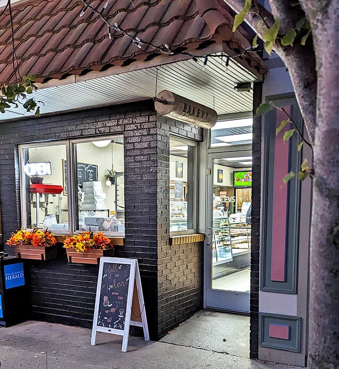 Lev's Bakery Shop's brick exterior houses a wonderland of baked goods that have made this Tecumseh spot a must-visit destination.