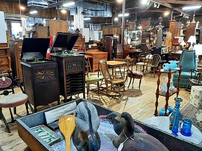 Wooden floors creak pleasantly underfoot as you explore Midtown's vast collection of furniture, decor, and curiosities from decades past.