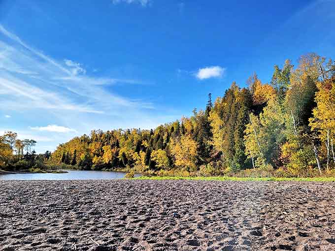 Autumn's golden touch transforms Agate Beach into a painter's palette, with fall foliage framing the chocolate-colored shoreline.