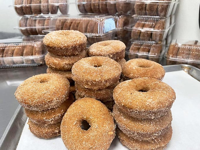 Apple cider donuts stacked like edible gold coins &ndash; each one worth its weight in culinary currency.