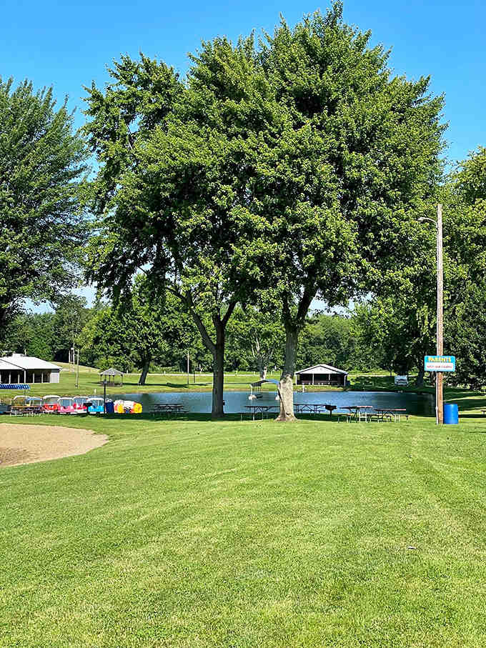 Towering trees provide perfect shade for campsites, where the simple pleasure of outdoor living creates lasting family memories.