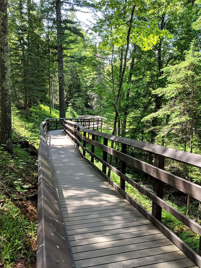 The boardwalk beckons like a wooden ribbon through emerald wetlands &ndash; nature's red carpet for everyday explorers.