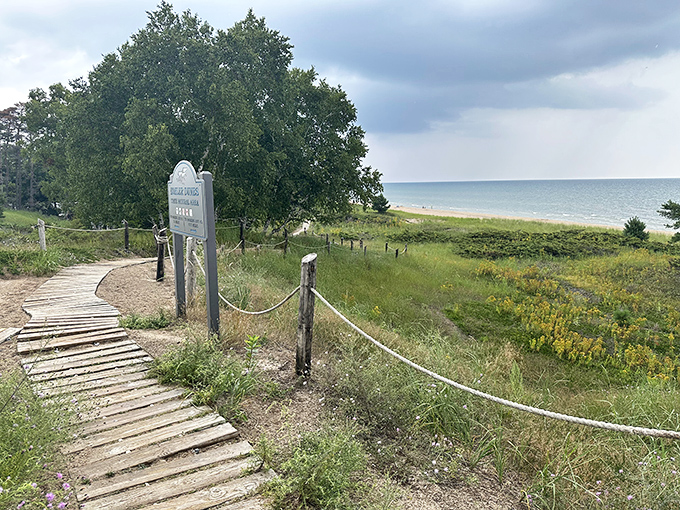 This charming boardwalk leads beachgoers through coastal vegetation to the sandy shores beyond, building anticipation with every wooden plank.