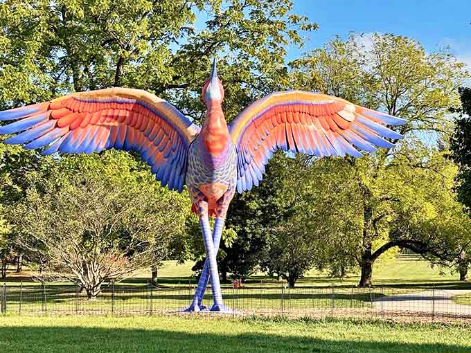 Cadence spreads its magnificent wings across the landscape, making visitors feel tiny in the best possible way.