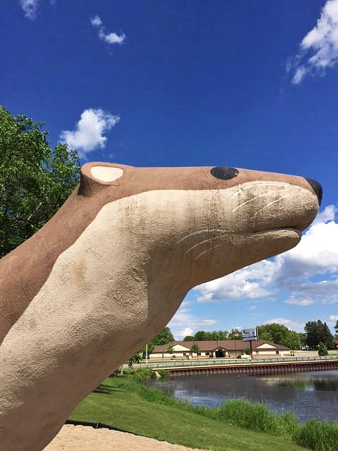 Otto's friendly face captures the essence of otter personality &ndash; if that otter happened to be the size of a school bus.