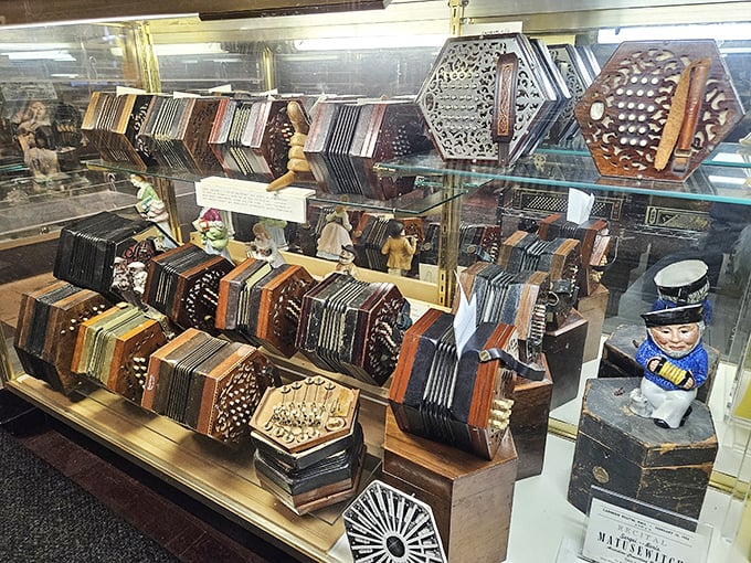These aren't your grandmother's accordions! Ornate concertinas and decorative squeezeboxes showcase the instrument's artistic side.