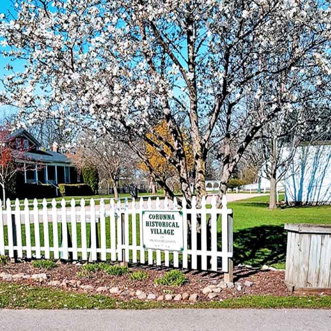 Spring blossoms frame the entrance sign to Corunna Historical Village, nature's way of welcoming visitors to this historical treasure.