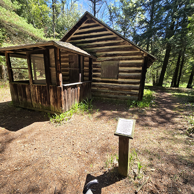 This rustic log cabin stands as a humble reminder that our ancestors somehow survived without Wi-Fi or delivery apps.