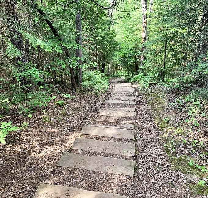 The trail beckons with its simple wooden planks, like breadcrumbs leading to a fairytale ending that happens to be real.