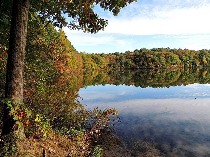 Hudson Springs Park offers 87 acres of "forget your problems" wrapped in trees, trails, and water that photographs better than most professional models.