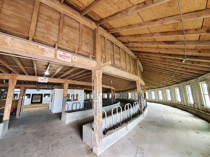 Inside, wooden stalls line the perimeter where prize livestock once stood, the circular design allowing efficient feeding and care.
