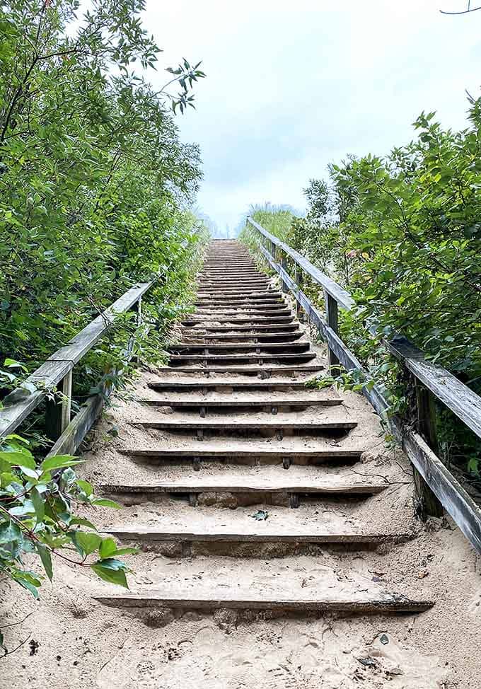 These sandy steps might make your calves scream in protest, but the view waiting at the top? Worth every burning muscle.