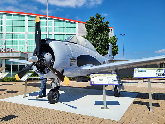 This beautifully preserved military aircraft stands as a testament to American engineering prowess and the pilots who mastered these powerful machines.