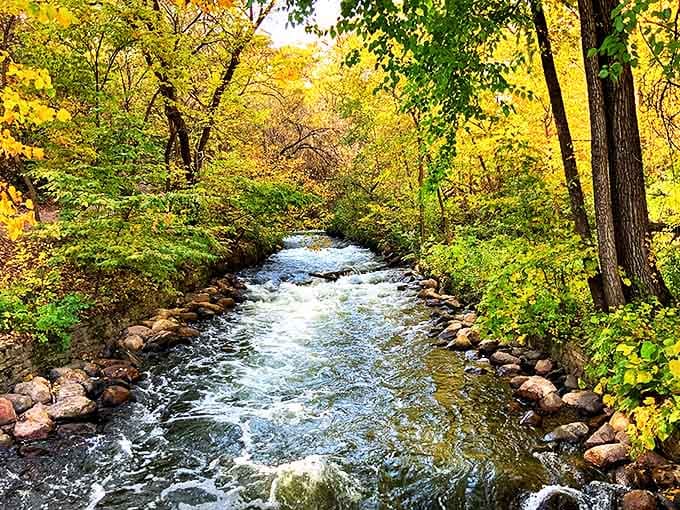 Minnehaha Creek continues its journey beyond the falls, carving a serene path through a gorge that feels worlds away from urban life.