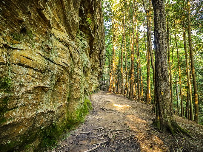 Nature's ancient pathway winds between towering rock walls, where sunlight plays hide-and-seek through the canopy, creating a cathedral-like atmosphere for hikers.
