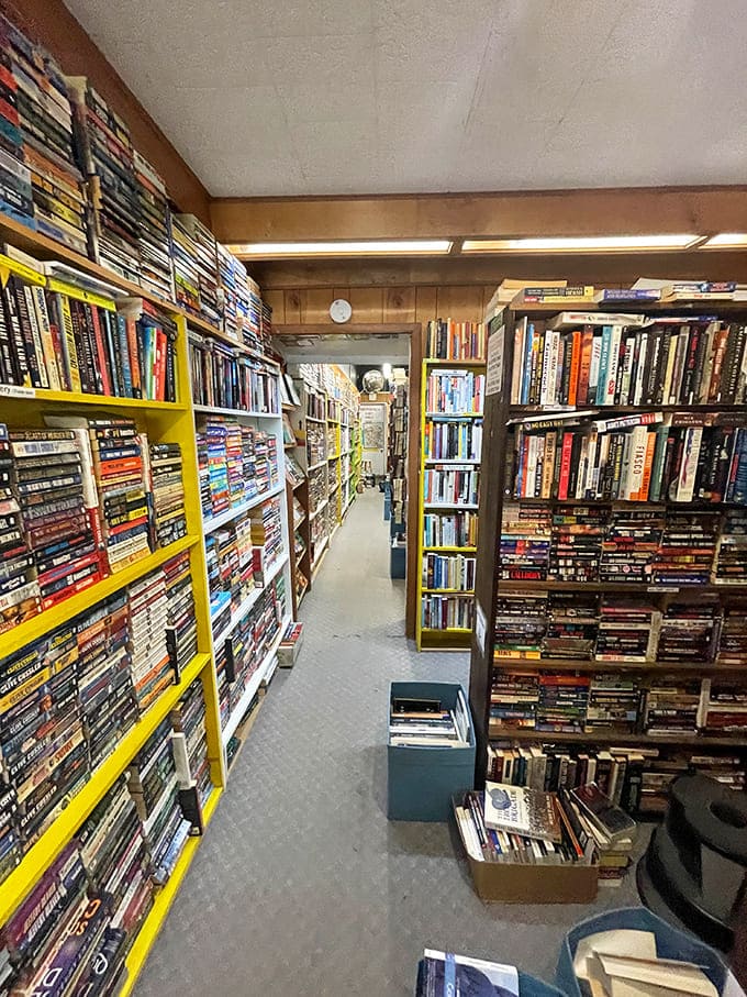 These towering shelves packed with colorful spines create the kind of maze you actually want to get lost in forever.