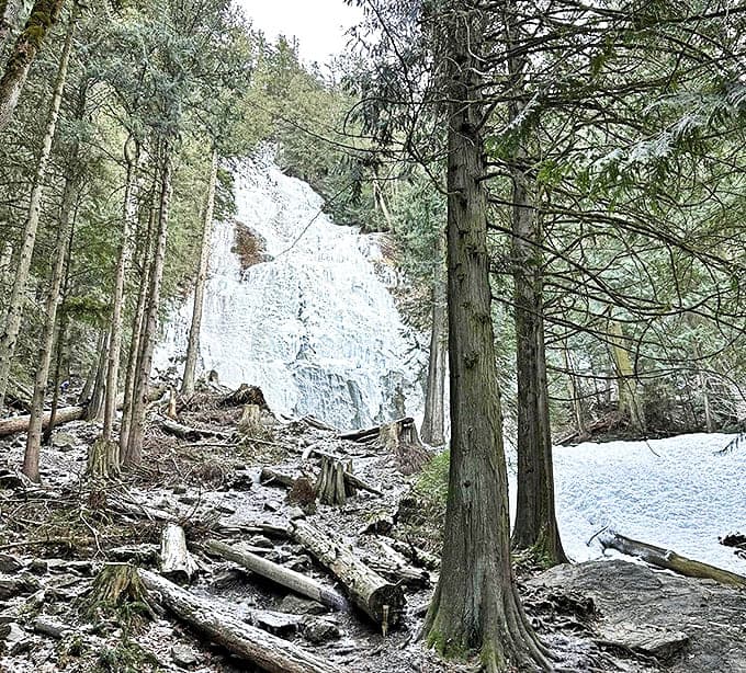 Winter transforms Bridal Falls into a sculptor's studio, where water and ice create temporary masterpieces that change with each freezing night.