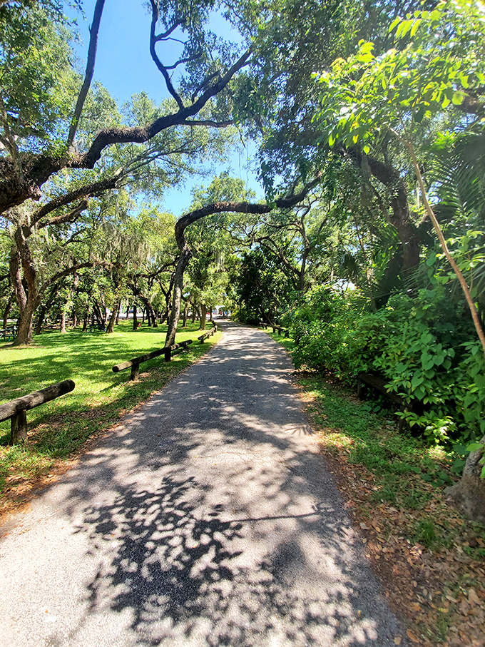 The path less rushed, this winding trail invites visitors to slow down and notice the little things, like how sunlight plays tag with shadows.