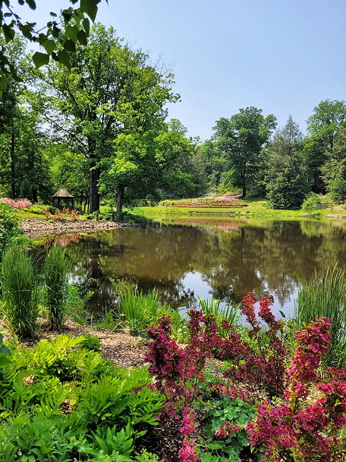 Tranquility awaits at the arboretum's pond, where vibrant flowers frame waters that mirror the sky above.