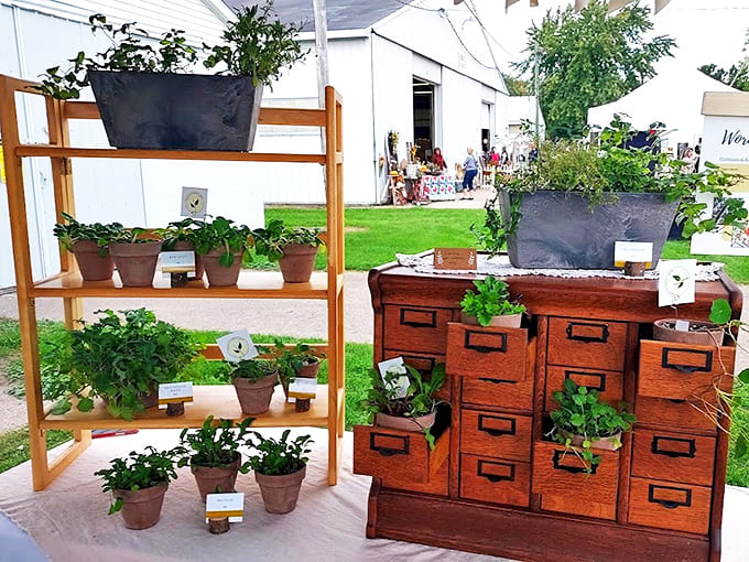 Potted Herb Plants Display: Vintage wooden shelving and antique drawers create the perfect showcase for potted herbs &ndash; gardening meets history in this clever display.