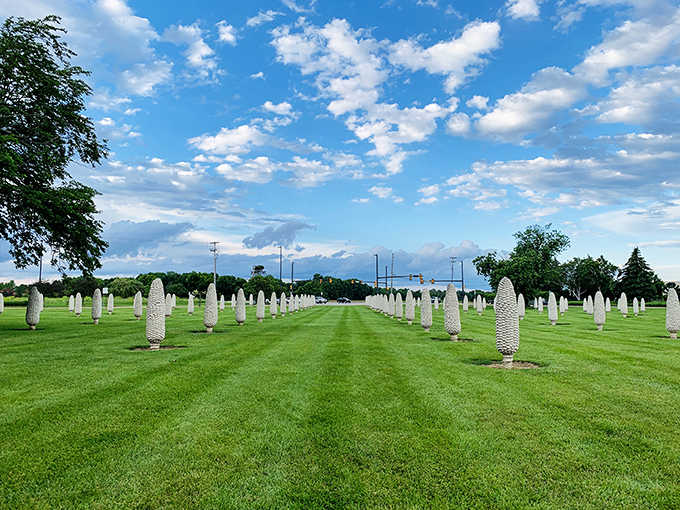 From this angle, the concrete corn creates mesmerizing patterns across the landscape, each ear standing at attention like soldiers in formation.