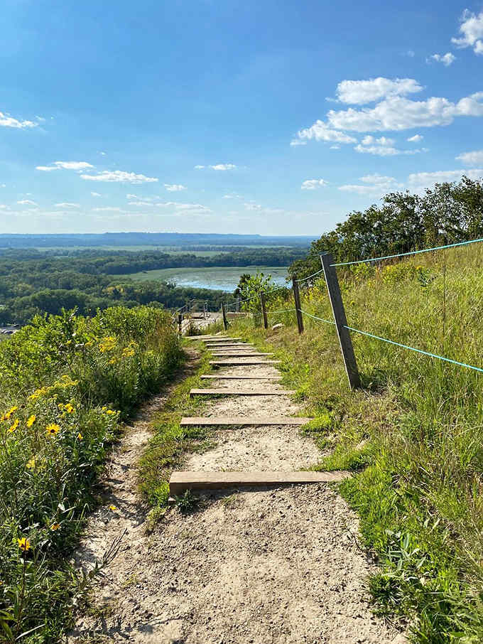 The wooden steps embedded in this hillside trail are like nature's stairway to heaven, each one bringing you closer to breathtaking views.