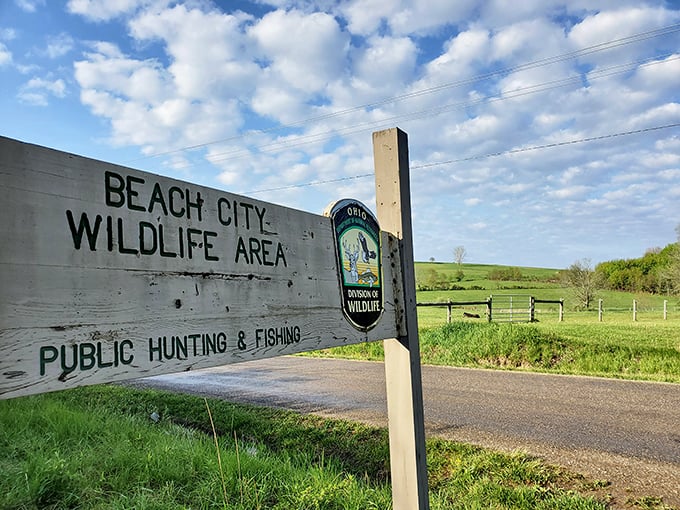 Beach City Wildlife Area welcomes adventurers with understated charm &ndash; the best natural wonders never need flashy introductions.