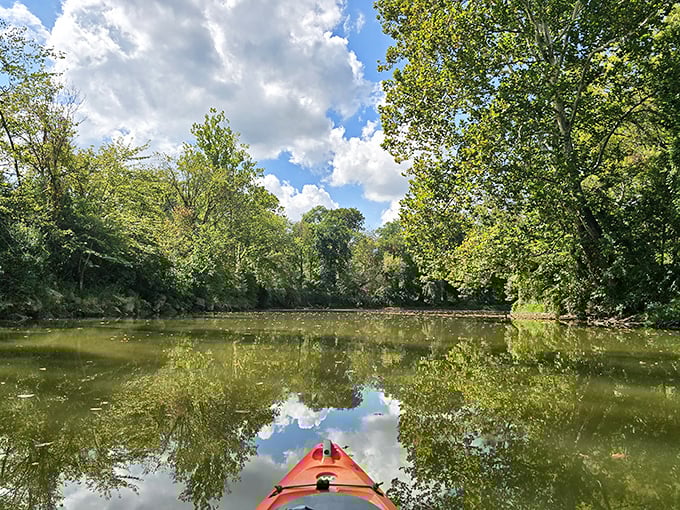 The Coupling MetroPark offers serene kayaking opportunities where nature's reflection creates a mirror world worth exploring.