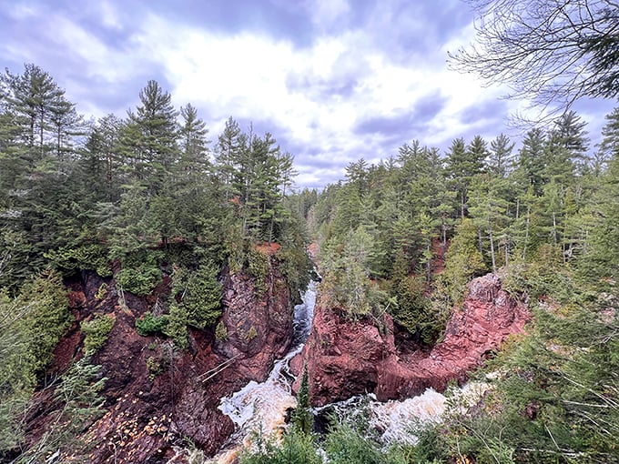 This isn't just any forest&mdash;it's nature's perfect picture frame, built over centuries just for this watery performance.
