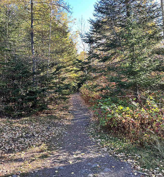 Fall's golden touch transforms this section of trail into a scene worthy of a calendar. Just add the sound of crunching leaves.