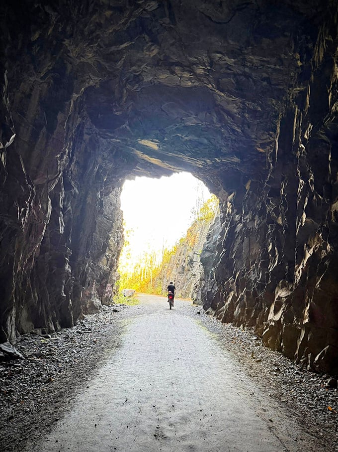 Light at the end of the tunnel: From darkness to daylight, the DWP passage creates a natural frame for the forest beyond.