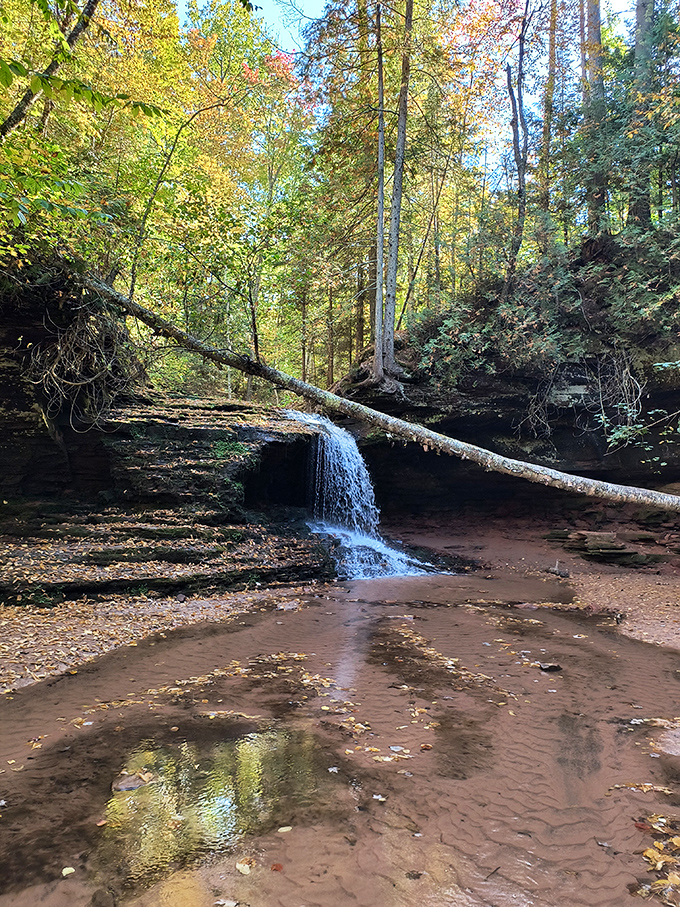 A fallen log creates nature's perfect viewing platform at this hidden cascade, where autumn leaves dance in the gentle current.