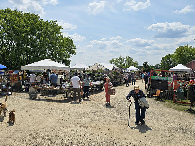 Sunlight dapples the market pathways where shoppers meander between stalls, each step potentially leading to the day's best discovery.