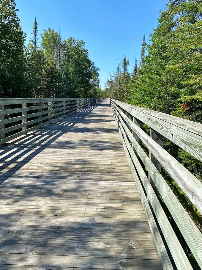 This wooden boardwalk cuts through pristine Michigan forest, creating a magical tunnel where sunlight plays hide-and-seek between the planks.