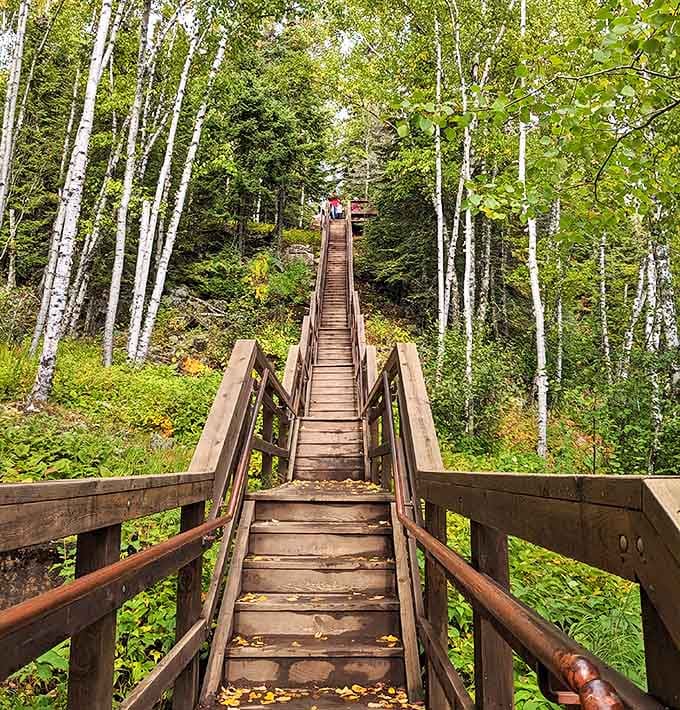 These wooden stairs aren't just a path &ndash; they're a stairway to heaven, Minnesota-style. Just bring better cardio than I did!