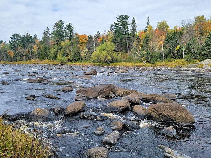 Autumn transforms the riverscape into a painter's palette, with rocks providing nature's perfect contrast to flowing water.