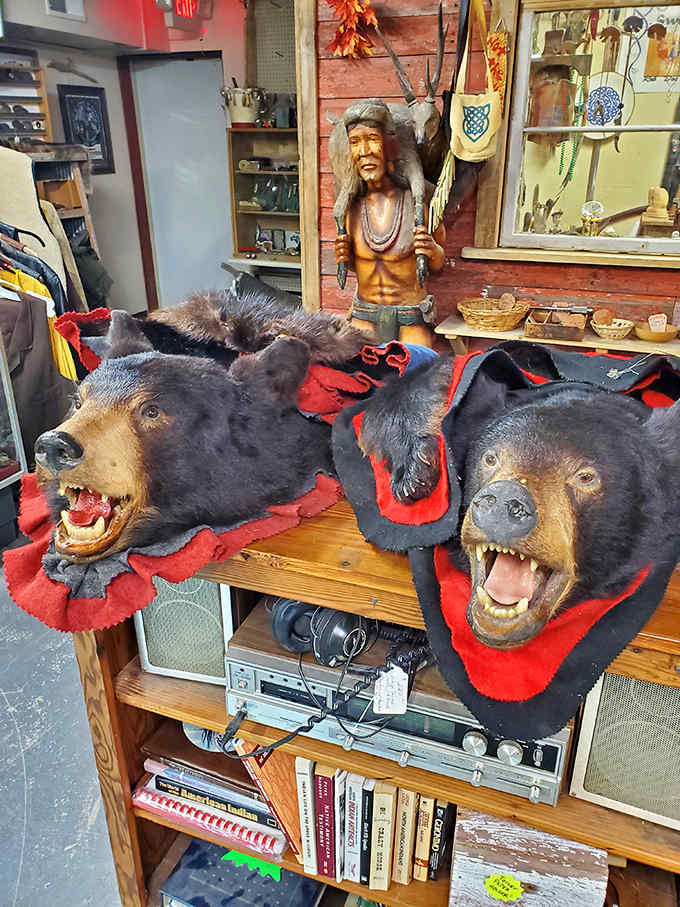 These bear rugs aren't just taxidermy, they're characters with personalities, silently judging your fashion choices while you browse nearby collectibles.
