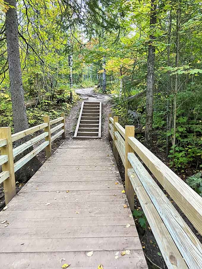 The wooden boardwalk invites adventure, leading hikers through a forest cathedral where pine-scented air replaces incense and birds provide the hymns.