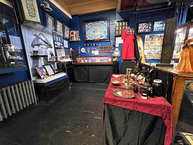Blue walls create the perfect backdrop for this cabinet of curiosities &ndash; each artifact telling its own mysterious tale.