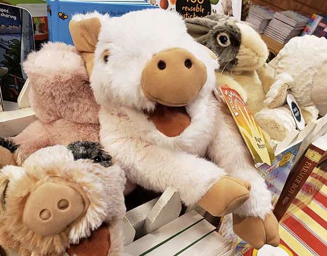 Celebrating cultural diversity with a thoughtful Hanukkah display featuring menorahs, candles, and books exploring Jewish traditions and perspectives.
